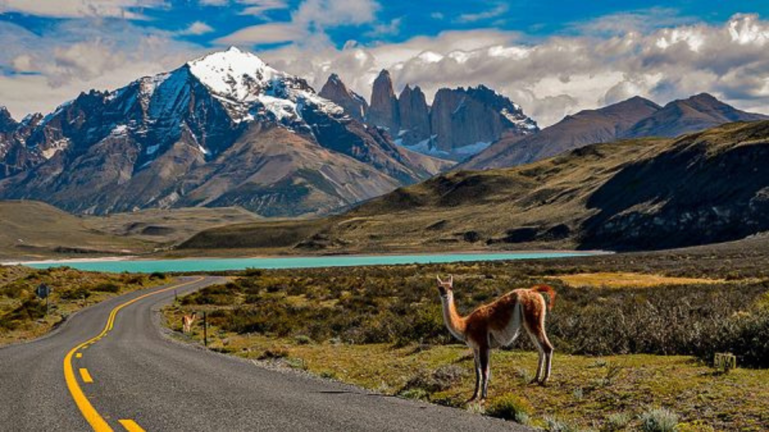 La Fiscalía de Magallanes y de la Antártica Chilena confirmó este lunes ...